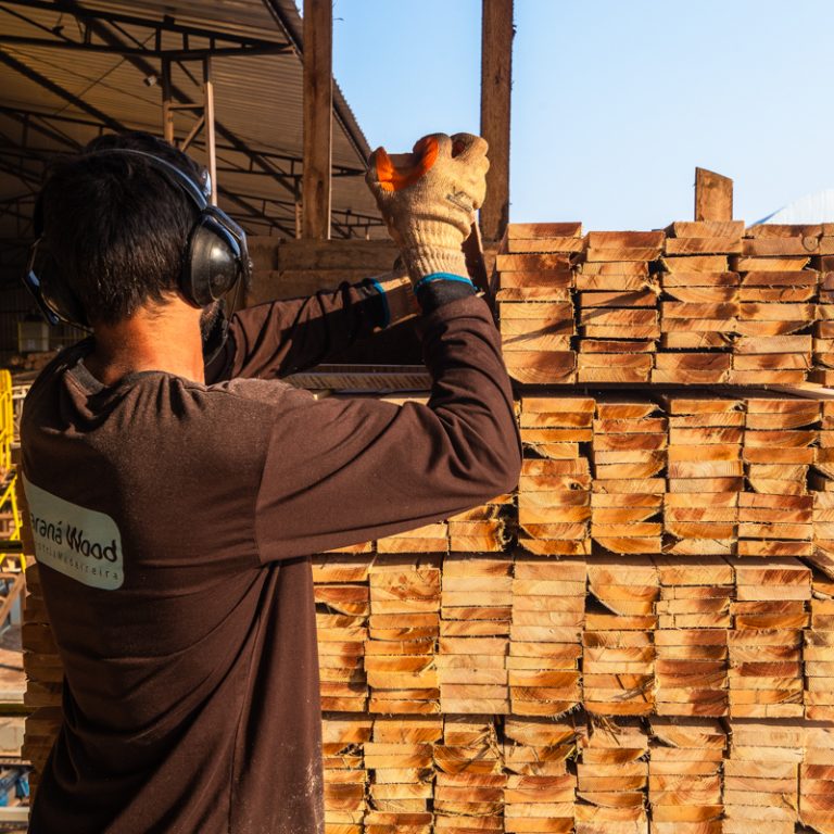 Maderera – Paraná Wood